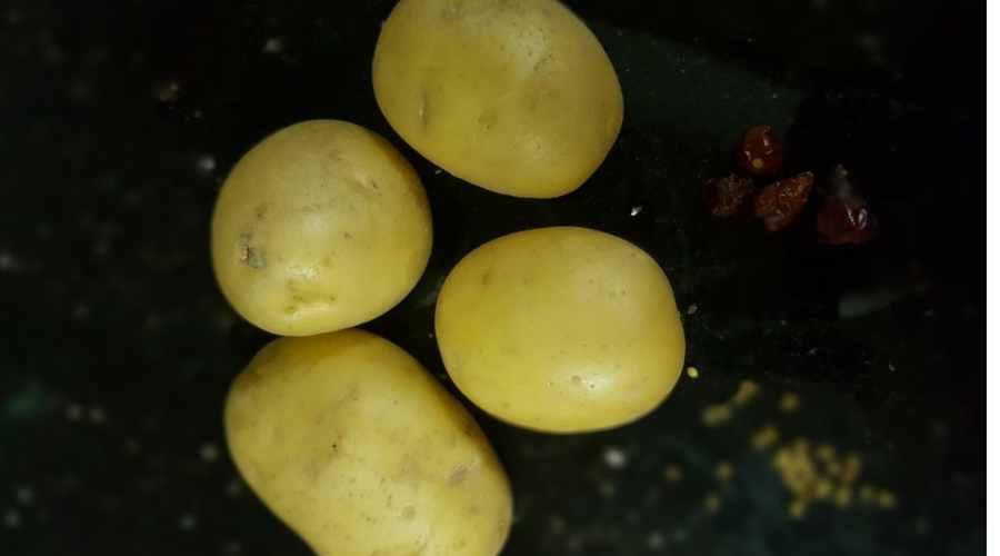 Chatpate alu (Pan tossed spicy potatoes) | Main course | Greenbowl2soul